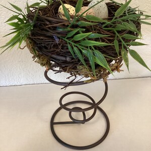 Bird Nest on Spring, Spring a Birds Nest, Birds Nest With Eggs - Etsy