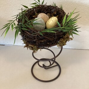 Bird Nest on Spring, Spring a Birds Nest, Birds Nest With Eggs - Etsy