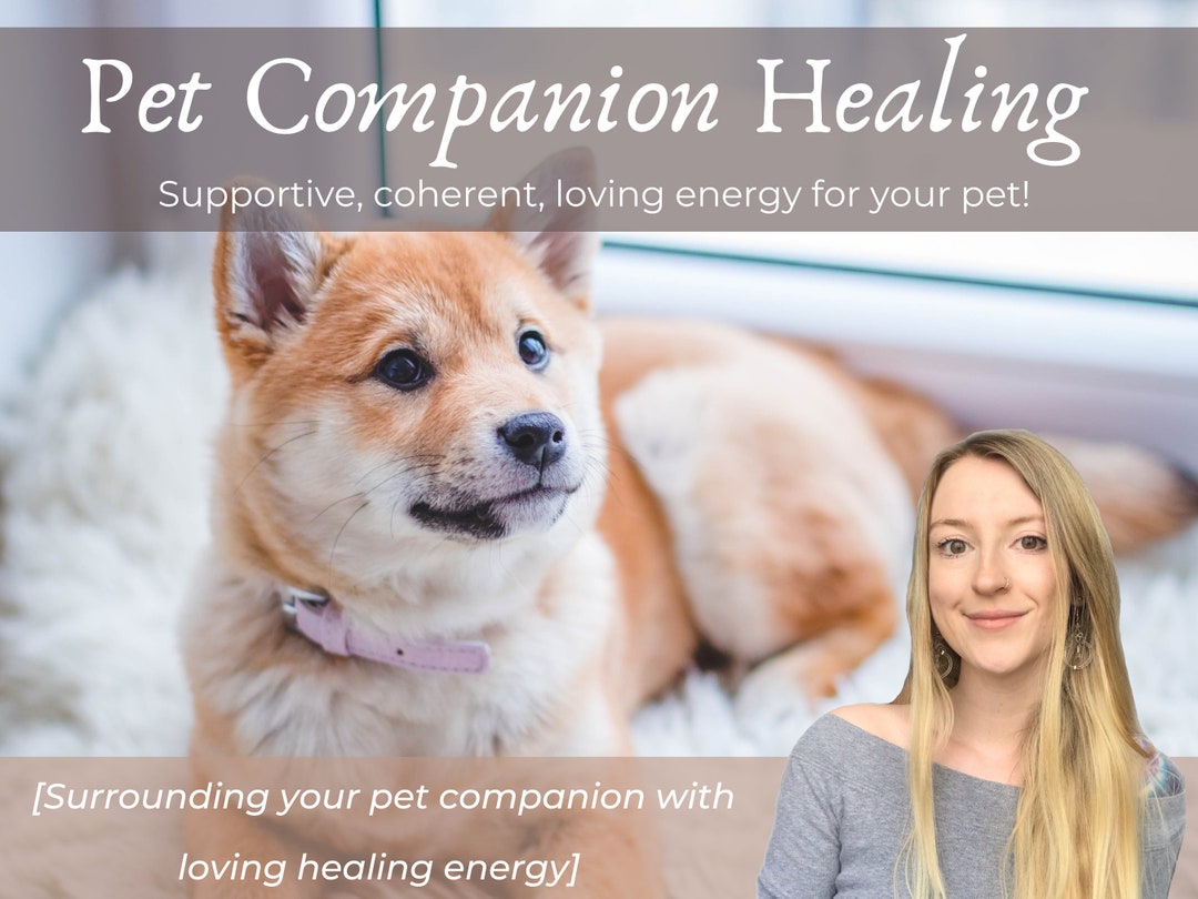 PET ENERGY HEALING Distant Healing Like Reiki 20 Minute Session Psychic ...