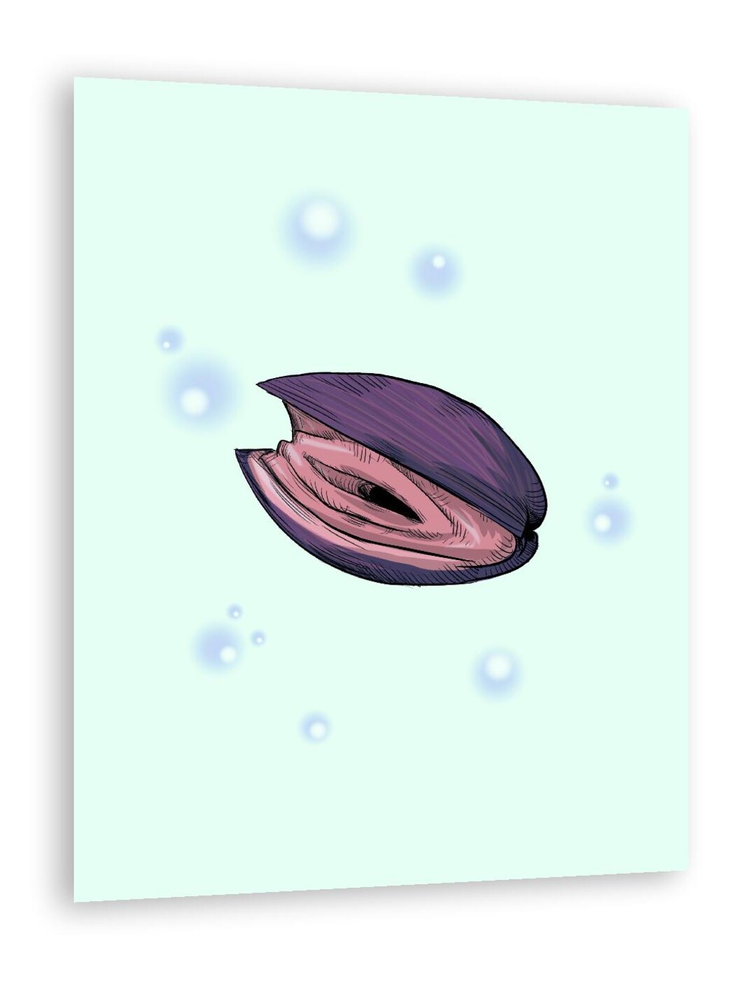 Pink Clam Fine Art Print Poster Home Decor Wall Art Digital - Etsy