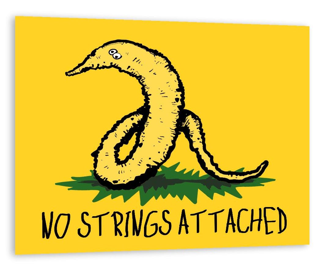 Silly Worm Flag Fine Art Print Poster Home Decor Wall Art Digital - Etsy