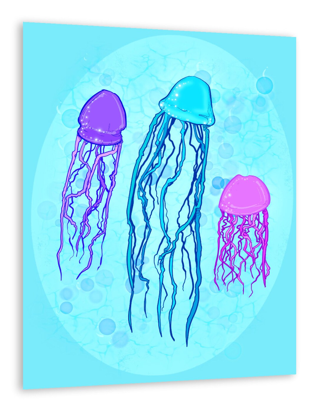 Jellyfish Varieties Fine Art Print Poster Home Decor Wall Art Digital ...