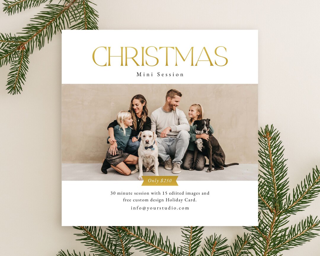 Christmas Mini Session Template, Holiday Mini Session, Canva Template ...
