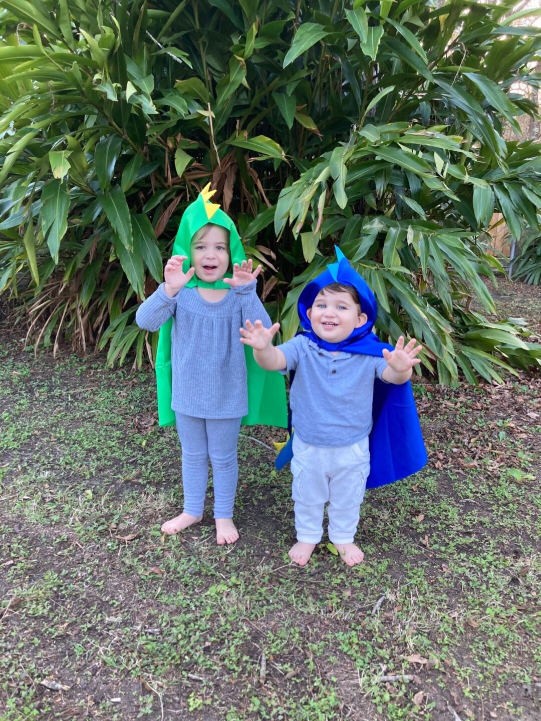 Dinosaur Cape Costume. Dino Cape. Dino Costume. Dinosaur Costume ...