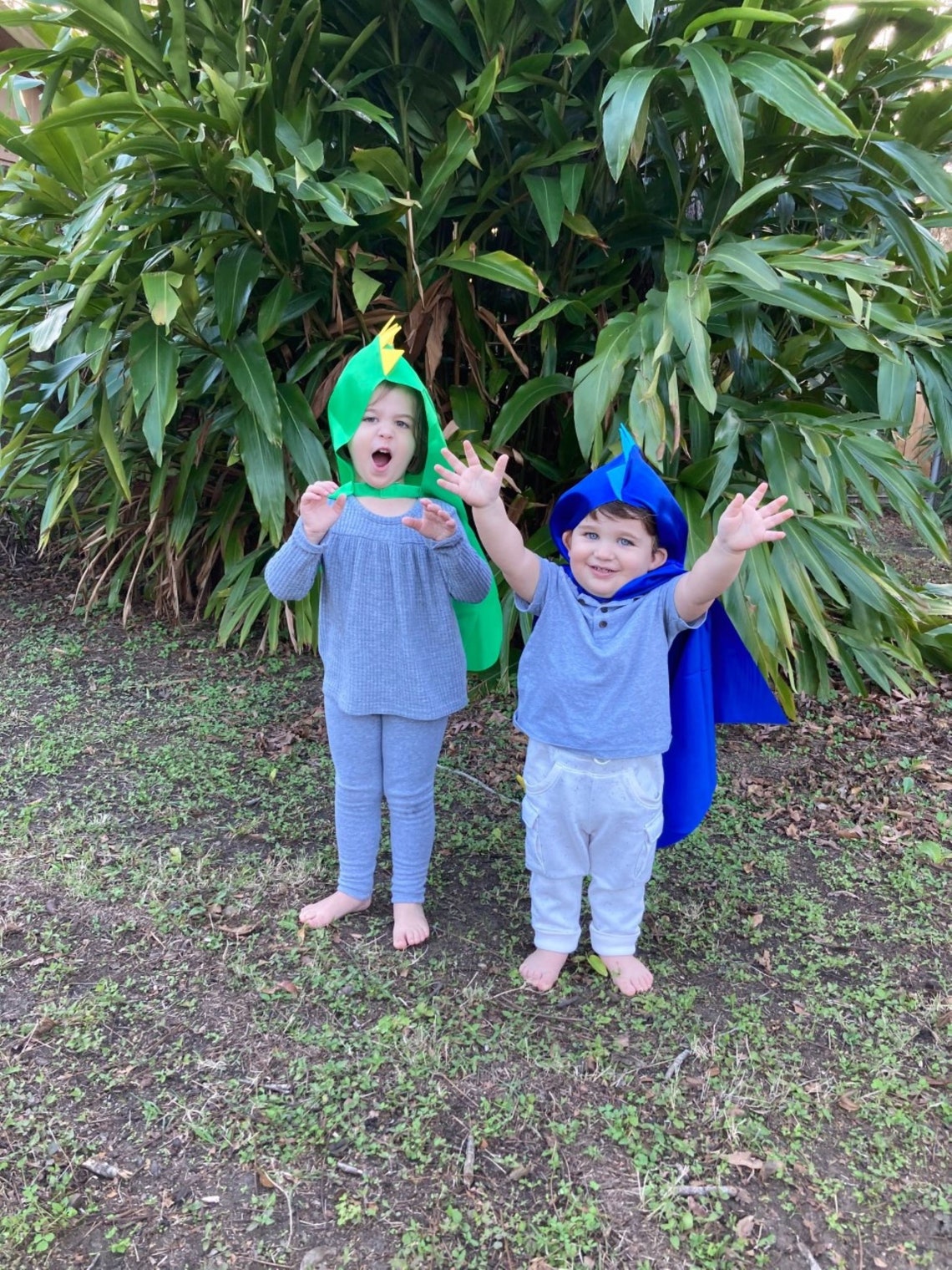 Dinosaur Cape Costume. Dino Cape. Dino Costume. Dinosaur - Etsy