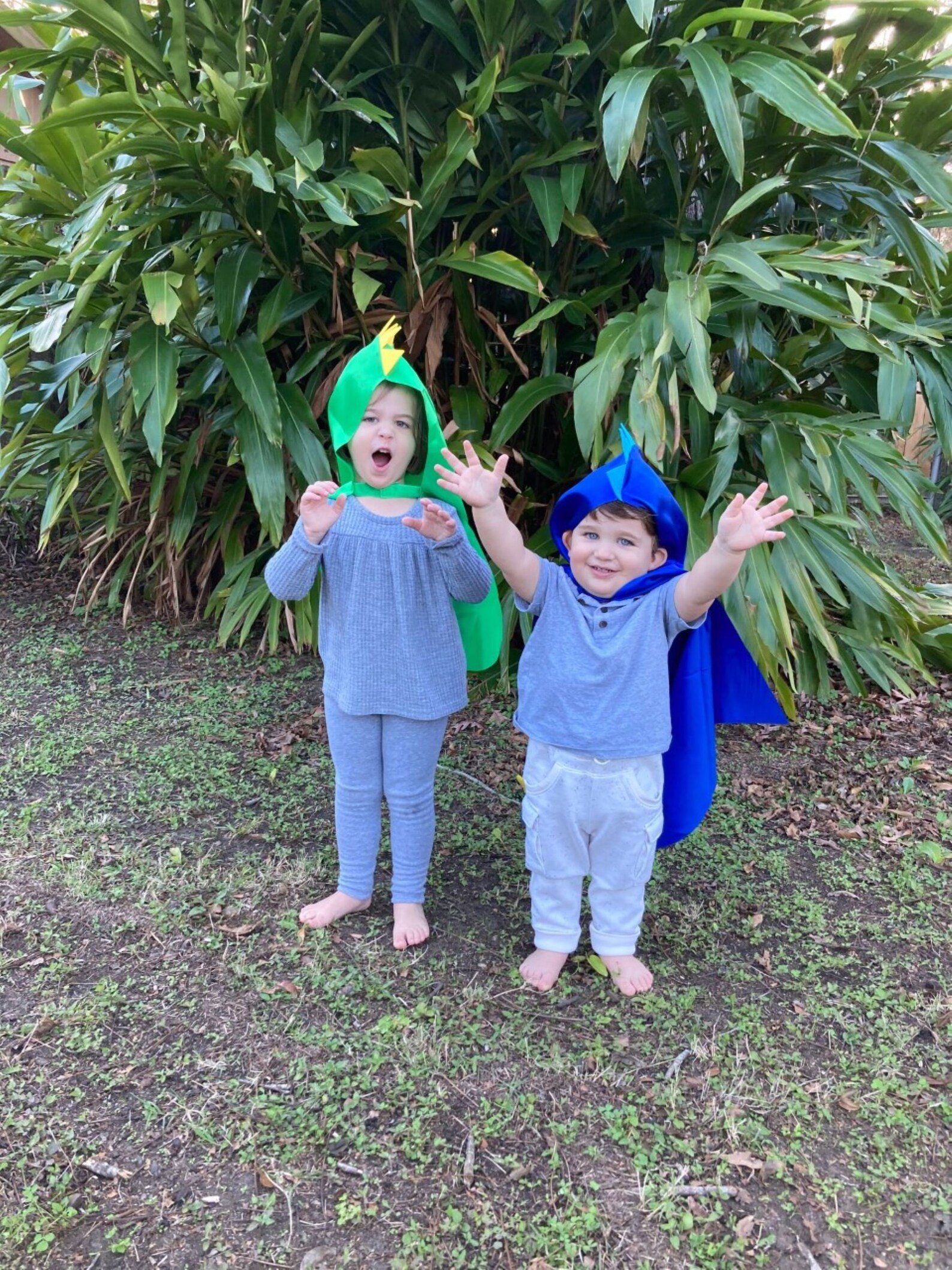 Dinosaur Cape Costume. Dino Cape. Dino Costume. Dinosaur | Etsy