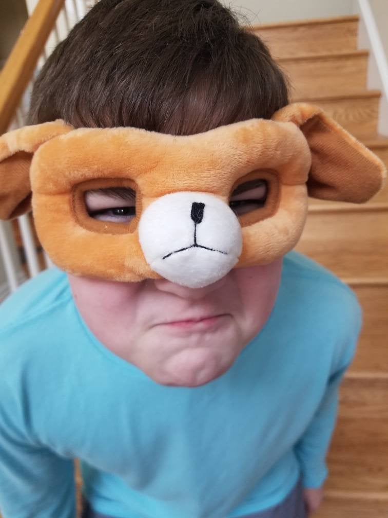 Plush Animal Mask for Kids, Farm Party Costume - Etsy