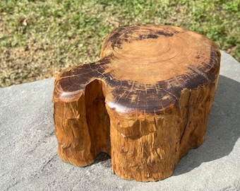 Giant Sequoia Redwood Tree - Etsy