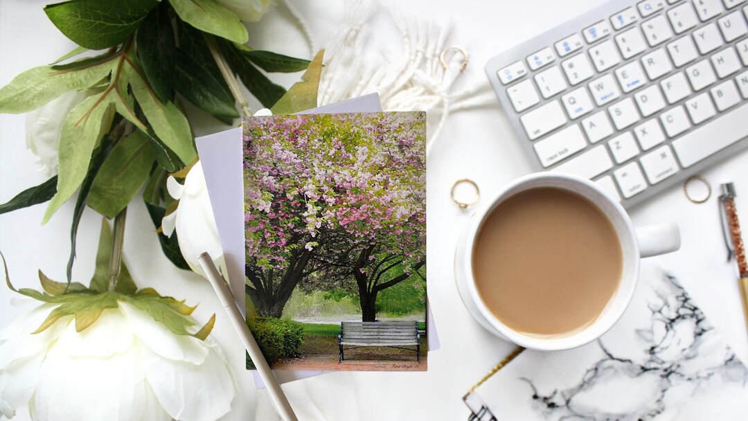 Boxed Note Cards | Blank Note Cards | Set of 8 5x7 Cards With Envelopes ...