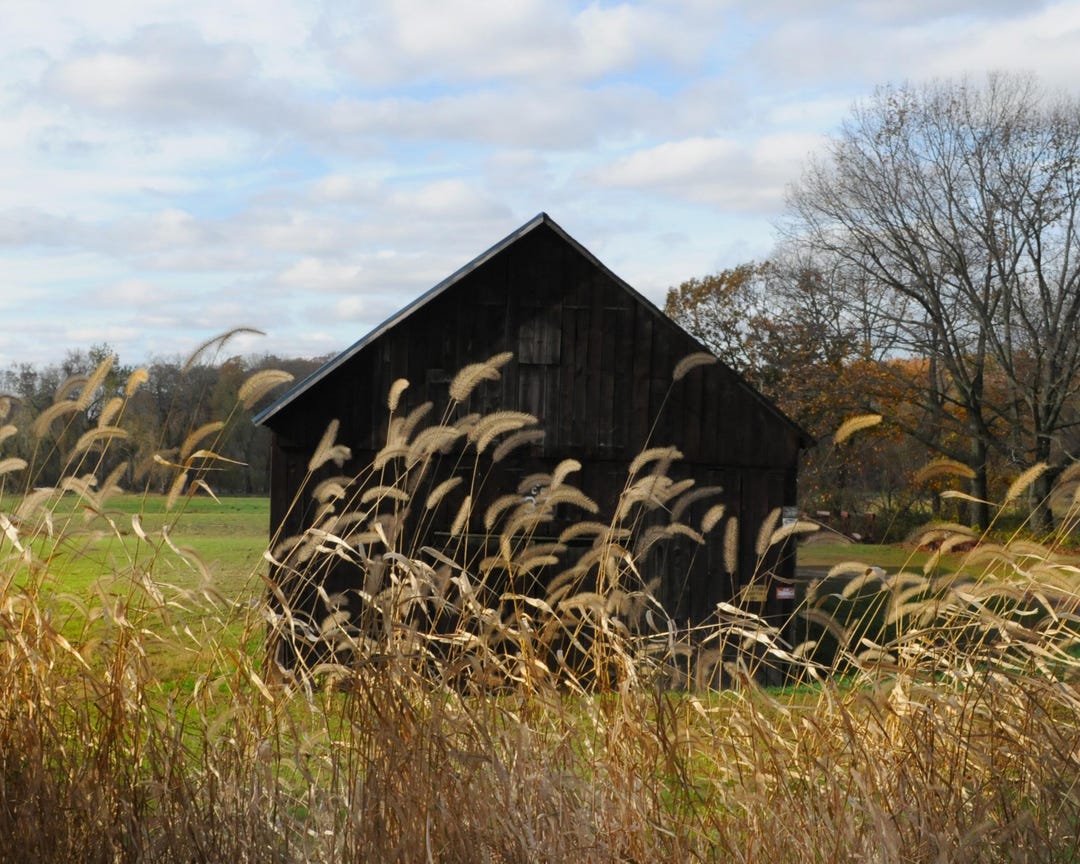 Rustic Barn Photography Notecard Set: New England Fall Art (5x7, Set of ...