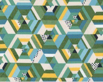 Frankie by Basic Grey for Moda 30672 16 - Etsy