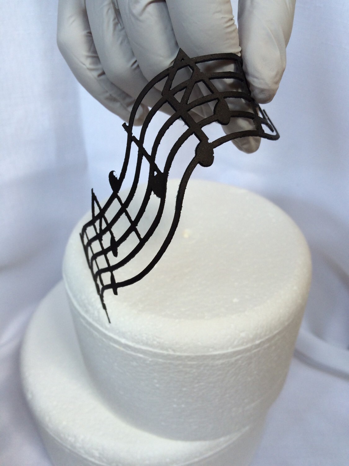 Cake Lace 2 Strip 7 Musical Notes on a Staff Sugar Strip | Etsy