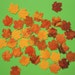 50 Fall Leaves Fondant Thanksgiving Edible Cupcake Cake Cookie Toppers ...