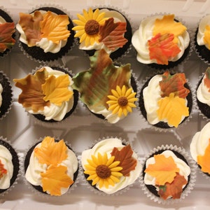 50 Fall Leaves Fondant Thanksgiving Edible Cupcake Cake Cookie Toppers ...