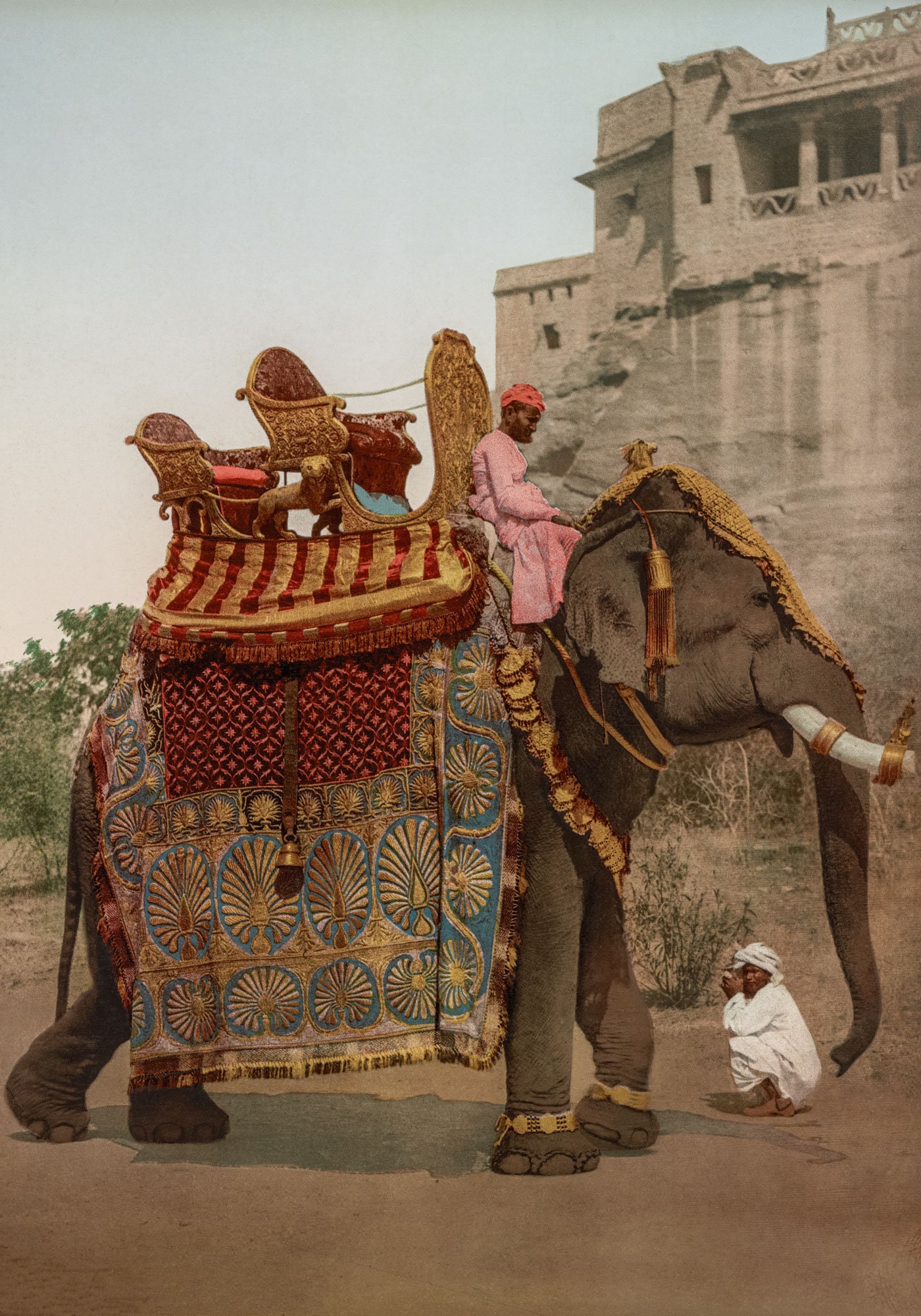 Photo Ancienne Inde Elephant Tamil Nadu Inde du Sud Poster | Etsy