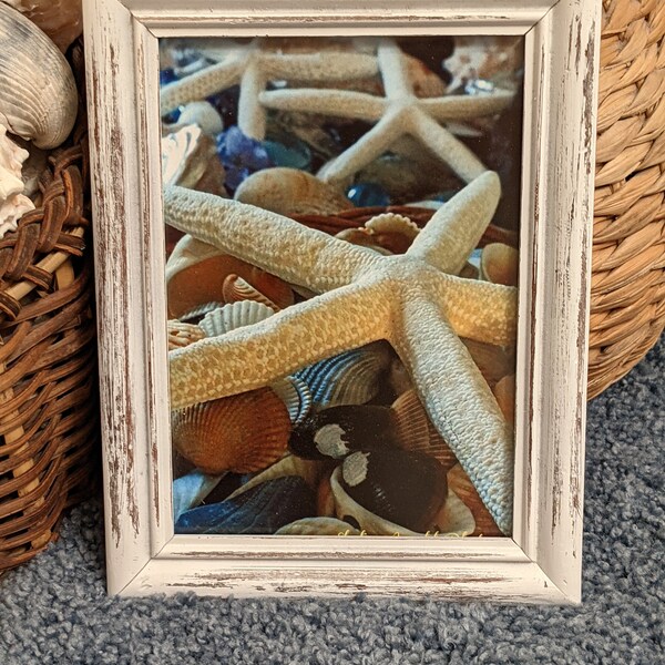 Framed Shell Art - Etsy