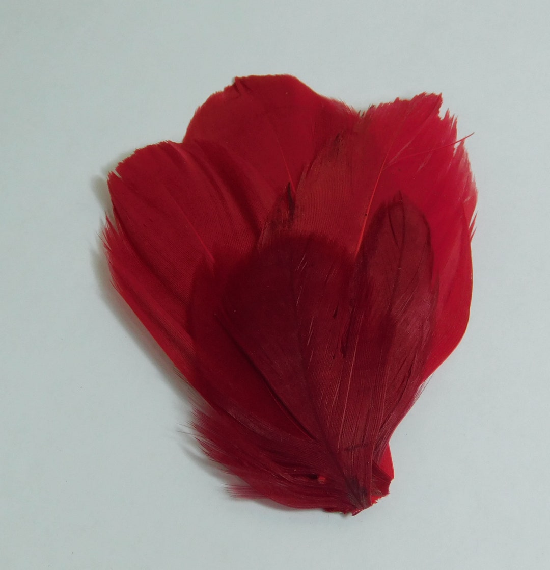 Just Red Feather Hair Clip - Red Goose Feather Fascinator - Red Dance ...