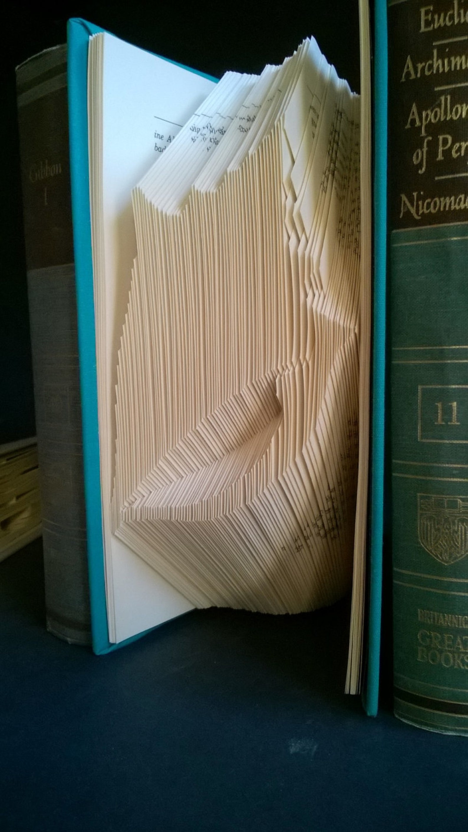 Conch Shell Seashell Ocean Themed Art Folded Book Art | Etsy