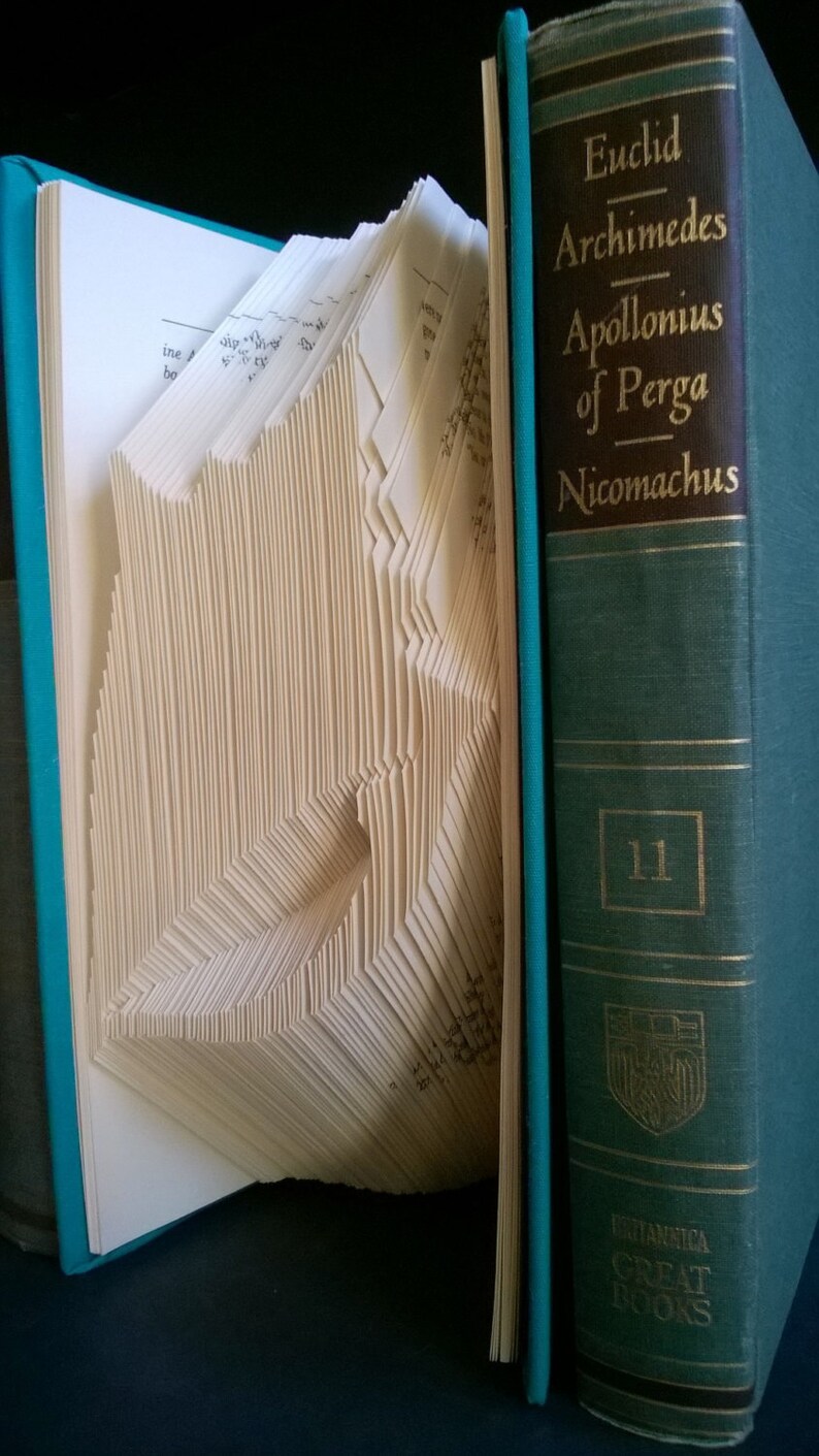 Conch Shell Seashell Ocean Themed Art Folded Book Art | Etsy