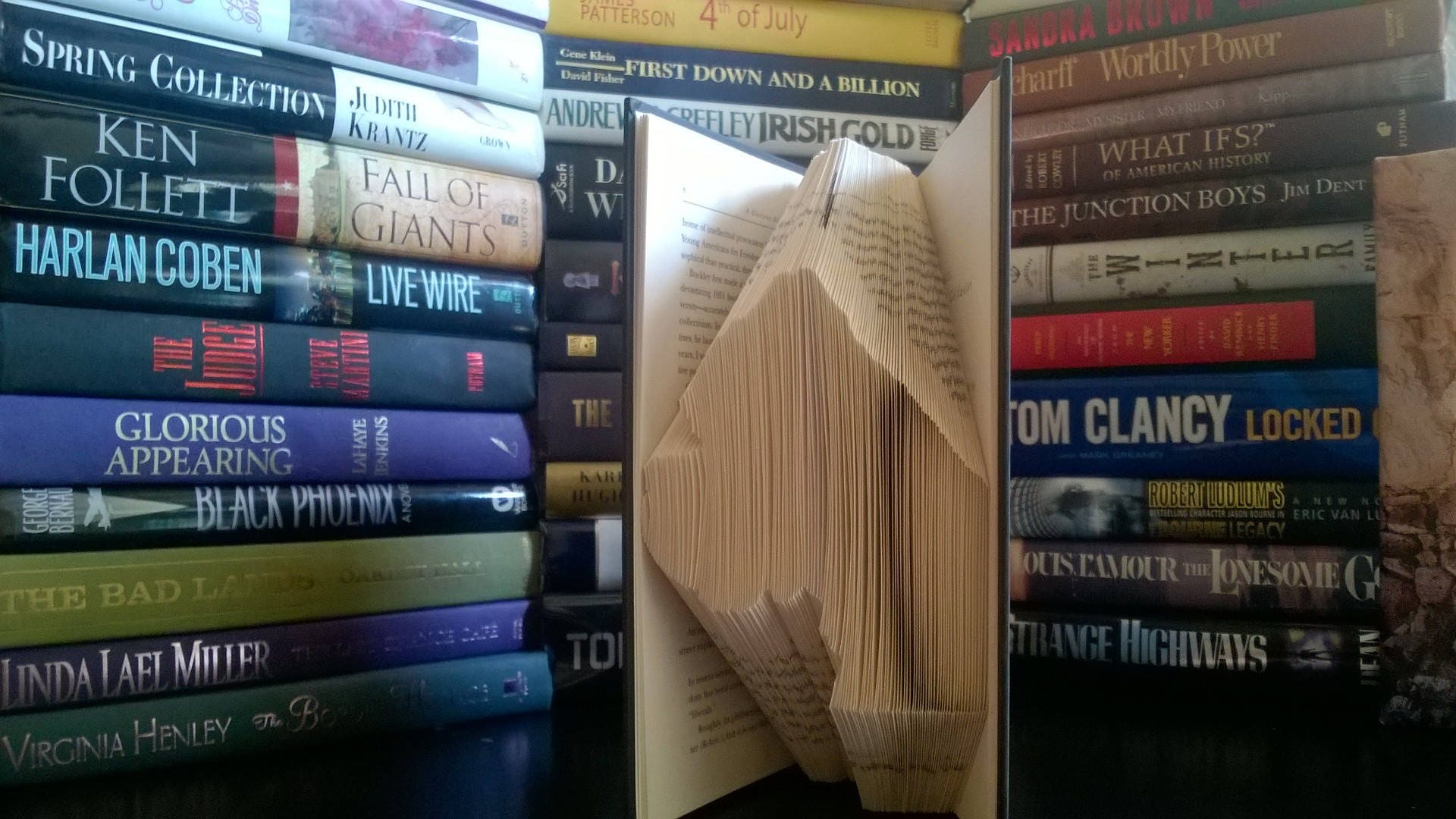 Boxer Dog Hand Folded Book Art Unique Gift Idea Home Decor Dog Lovers ...