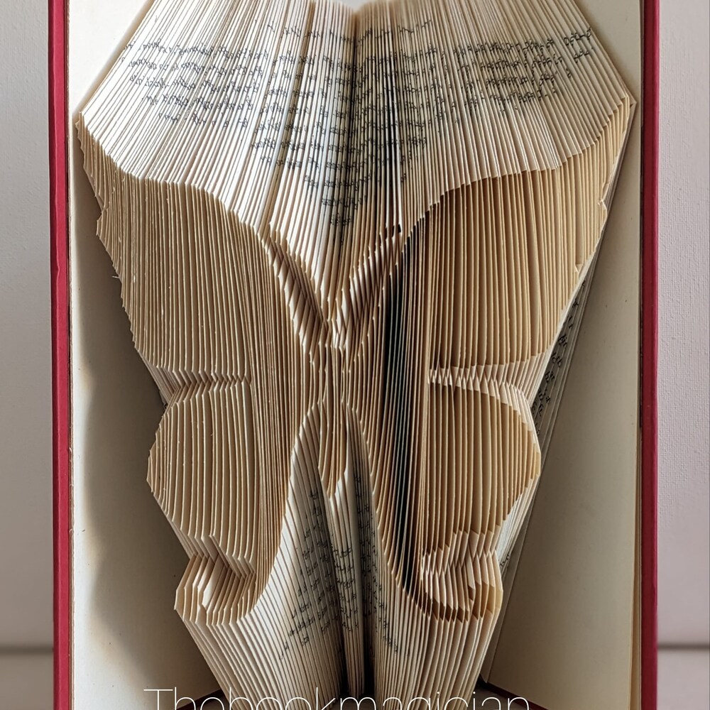 TheBookMagician - Etsy