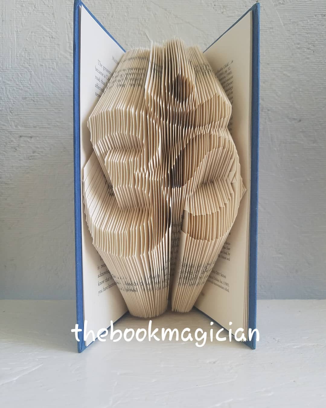 Aum Om Ohm Symbol Meditation Symbol Custom Hand Folded Book Art Unique ...