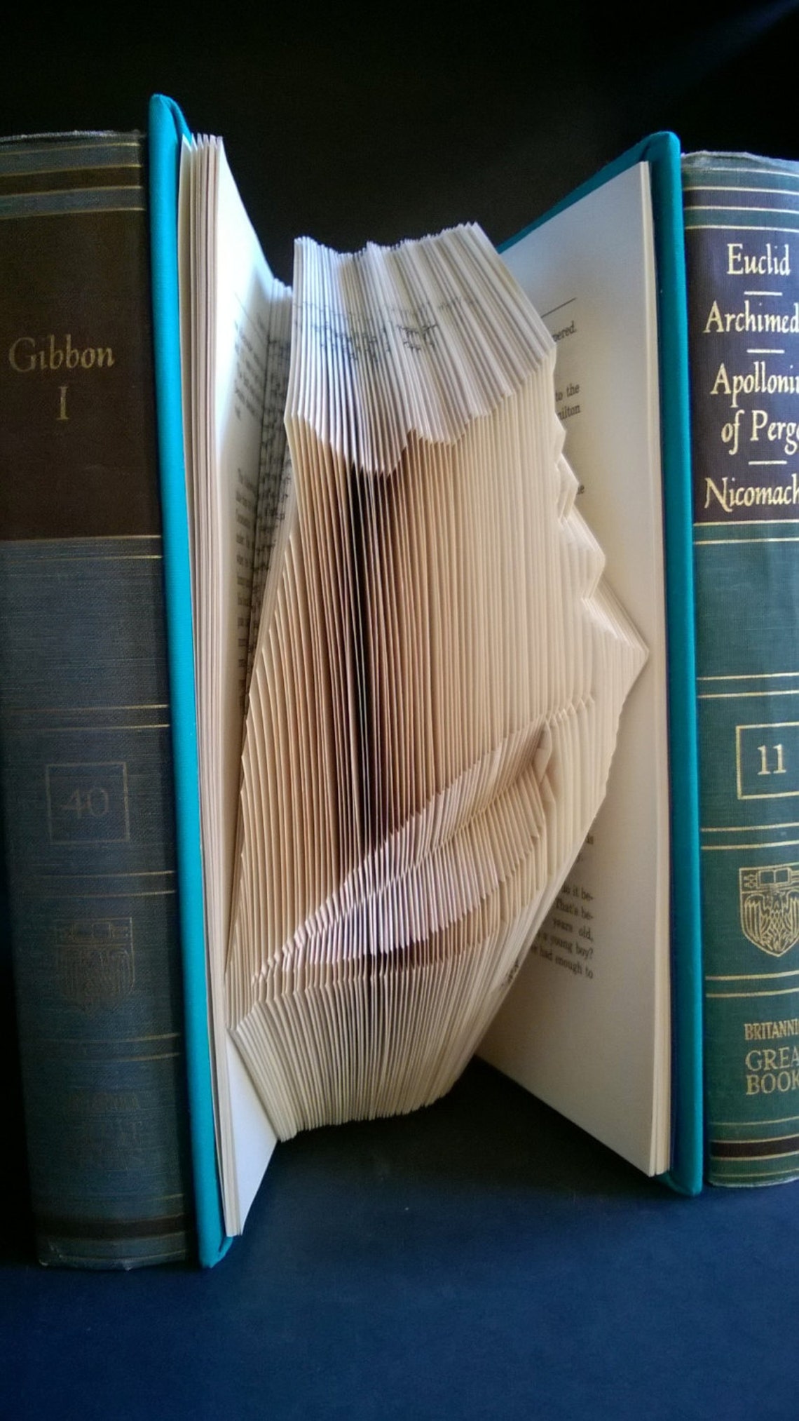 Conch Shell Seashell Ocean Themed Art Folded Book Art | Etsy