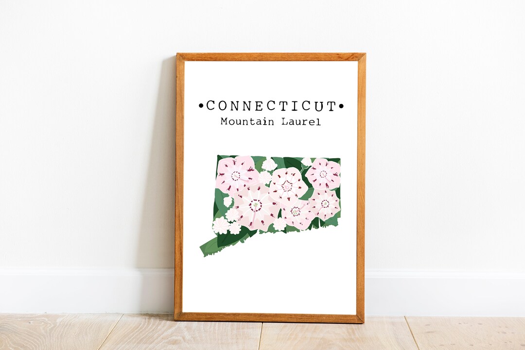 Connecticut State Flower Wall Art, Connecticut Mountain Laurel Print ...