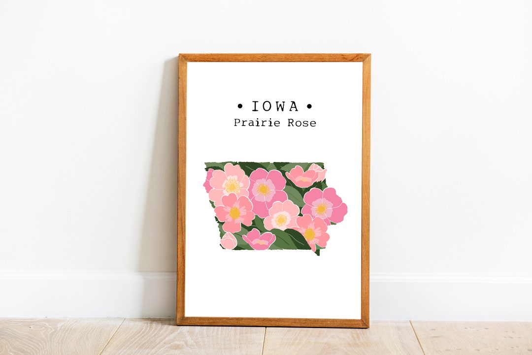 Iowa State Flower Wall Art, Iowa Flower Print, Iowa Prairie Rose Art ...