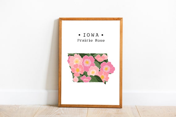 Iowa State Flower Wall Art Iowa Flower Print Iowa Prairie | Etsy