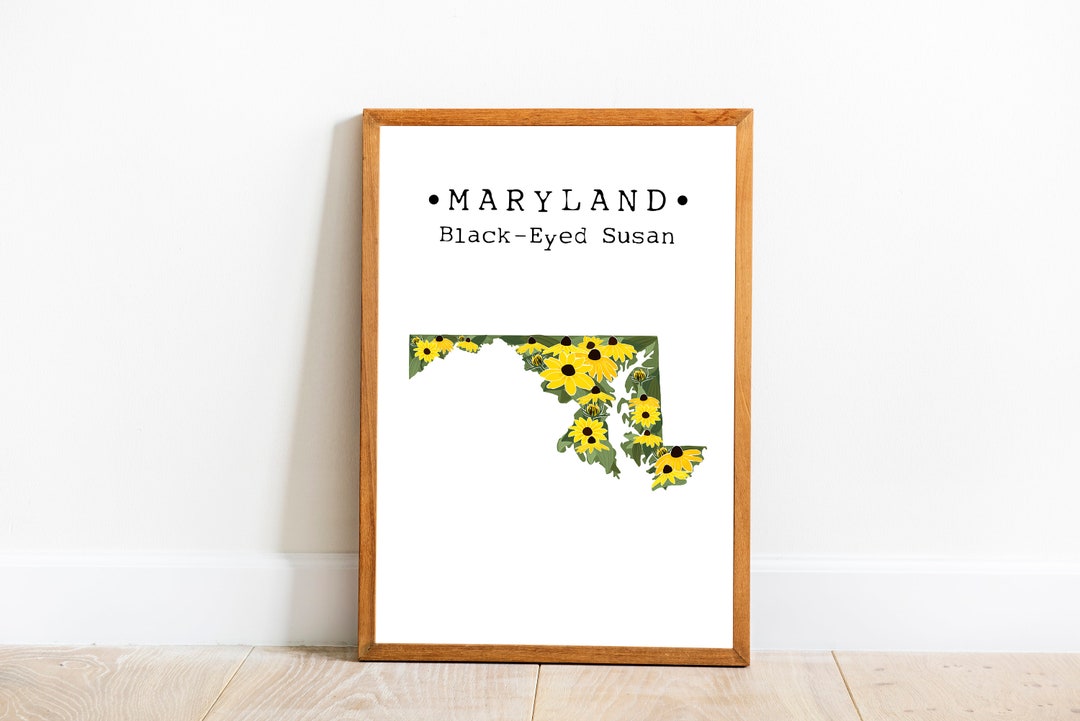 Maryland State Flower Print, Maryland Map Art, Black Eyed Susan Wall ...