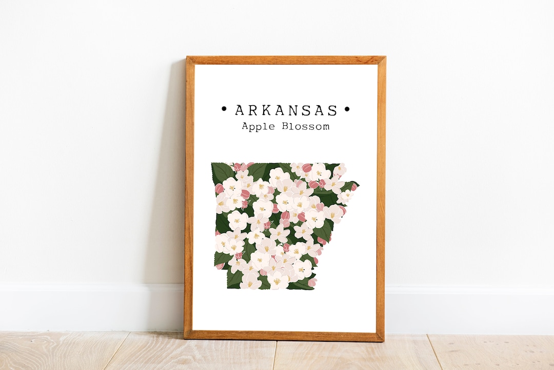 Arkansas State Flower Wall Decor, Apple Blossom Wall Art, Arkansas Map ...