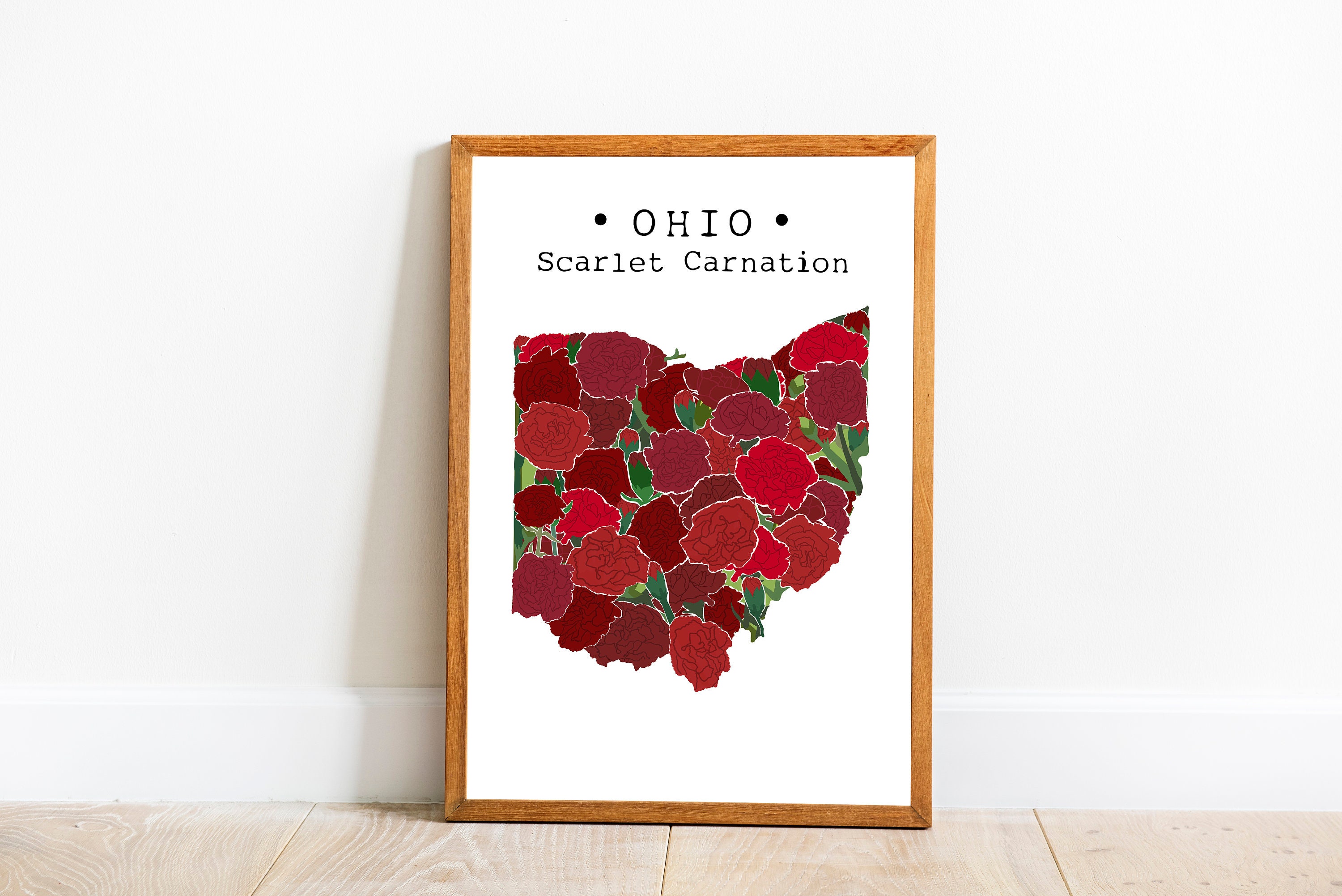 Ohio State Flower Print, State Flower Wall Art, Scarlet Carnation Print ...