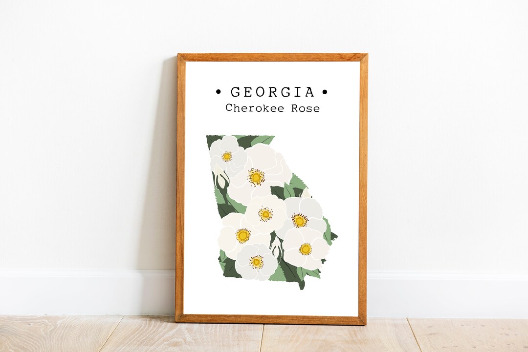 Georgia State Flower Wall Art, Georgia Map Print, Georgia Cherokee Rose ...