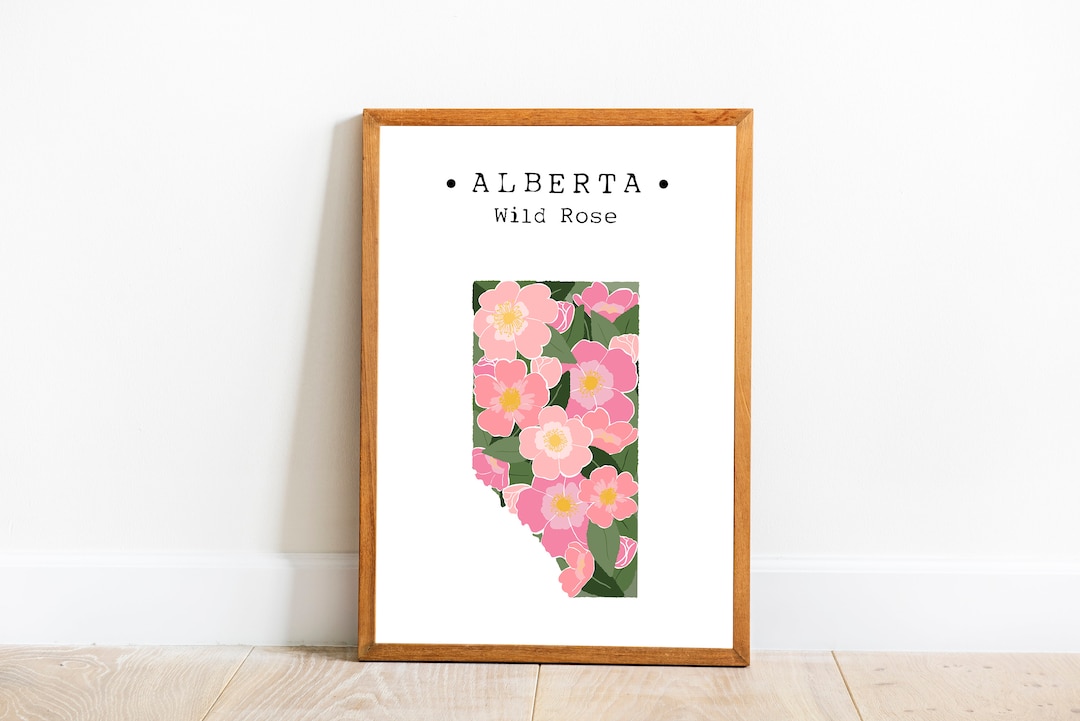Alberta Provincial Flower, Canada Province Flowers, Alberta Wild Rose ...