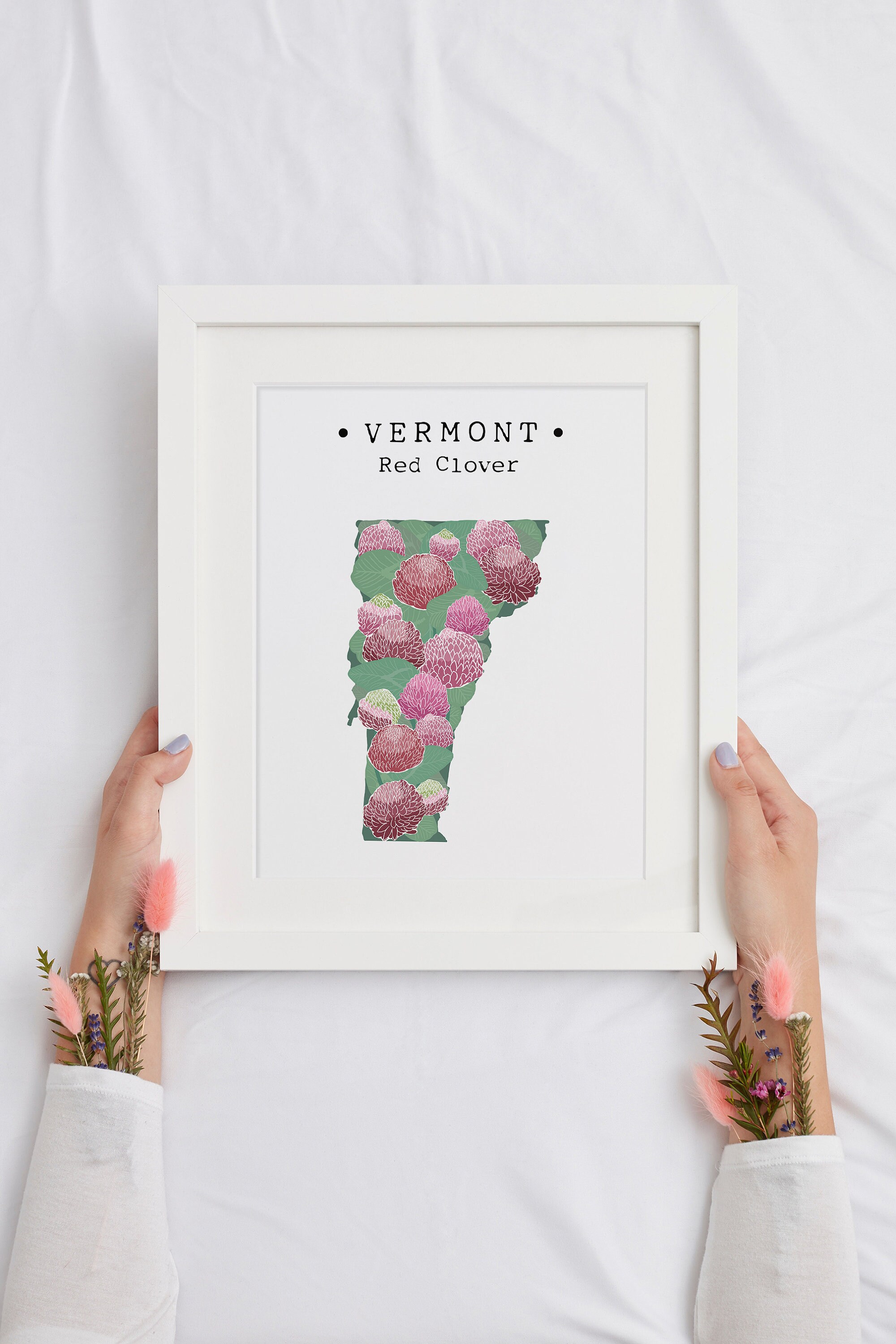 Vermont State Flower Wall Art, Vermont Red Clover Art Print, Vermont ...