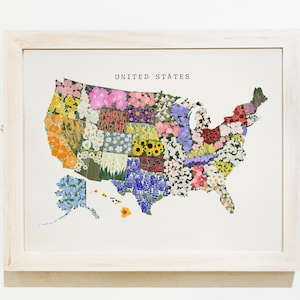 United States Flower Map, State Flower Art, America Map Wall Art ...