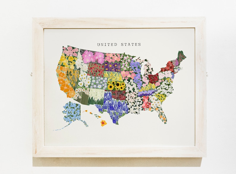 United States Flower Map, State Flower Art, America Map Wall Art ...