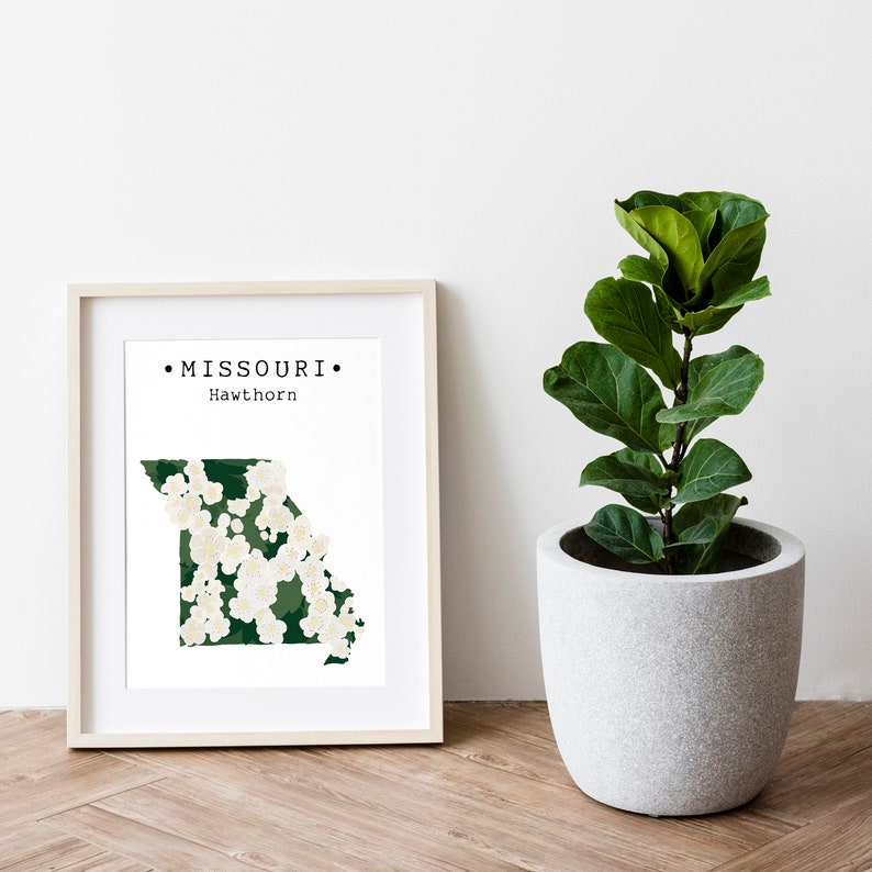 Missouri State Flower Wall Art, Missouri Flower Print, Missouri Map Art ...