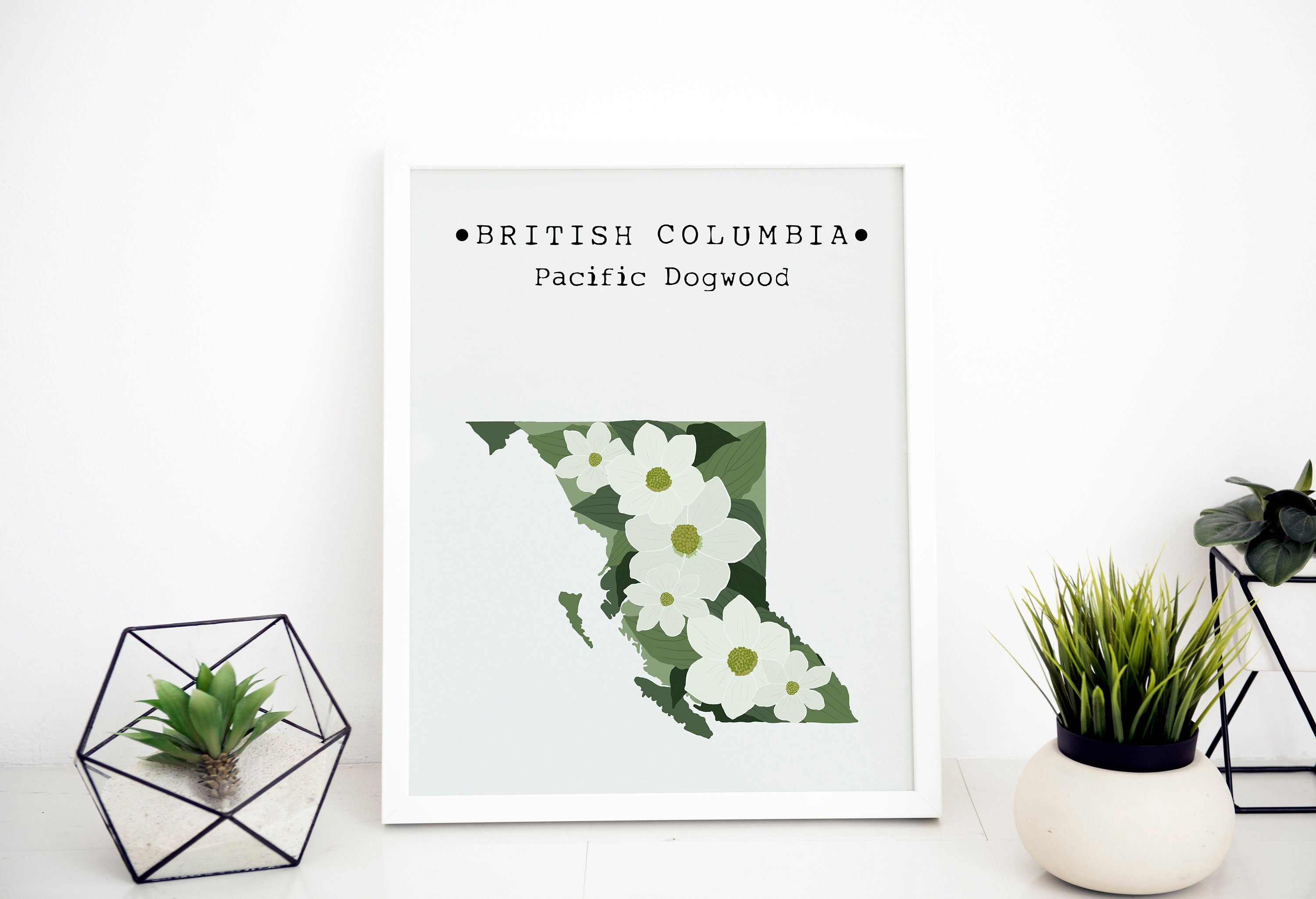 British Columbia Provincial Flower, Canada Province Flower, British ...