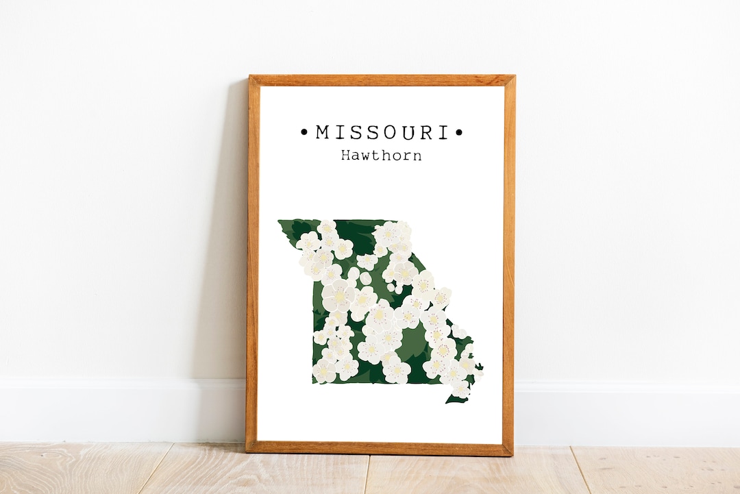 Missouri State Flower Wall Art, Missouri Flower Print, Missouri Map Art ...