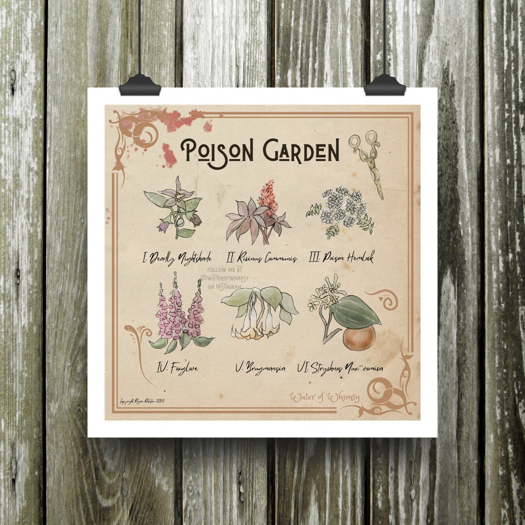 Poison Garden Print - Wall Art - Etsy