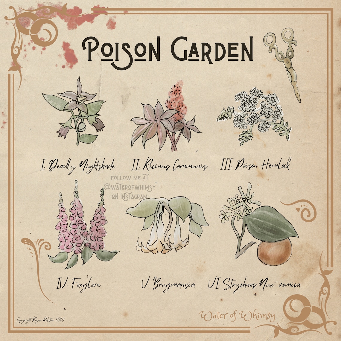 Poison Garden Print Wall Art - Etsy