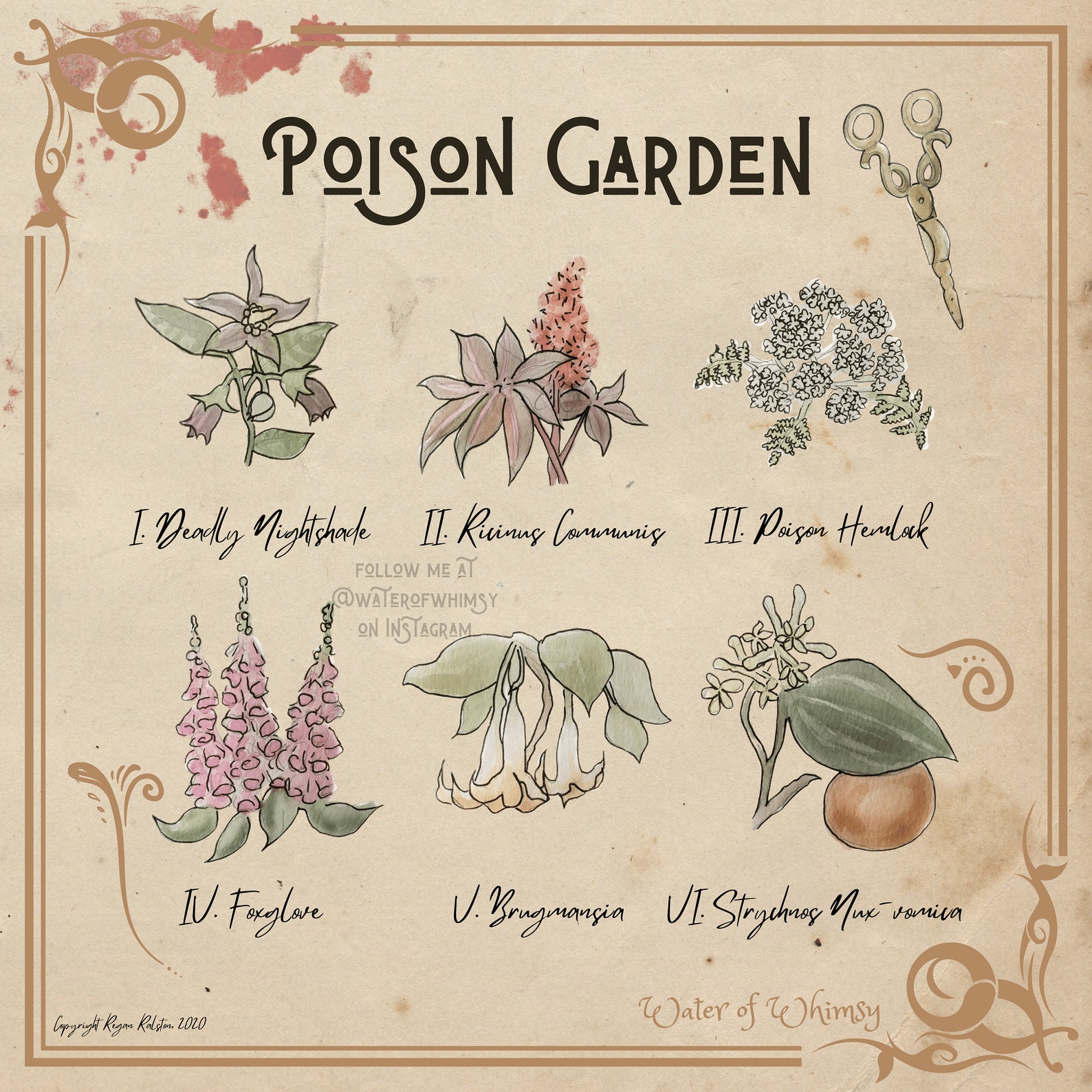 Poison Garden Print Wall Art - Etsy