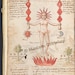 Ancient Alchemy Manuscript RARE 118 Pages From 1606. - Etsy