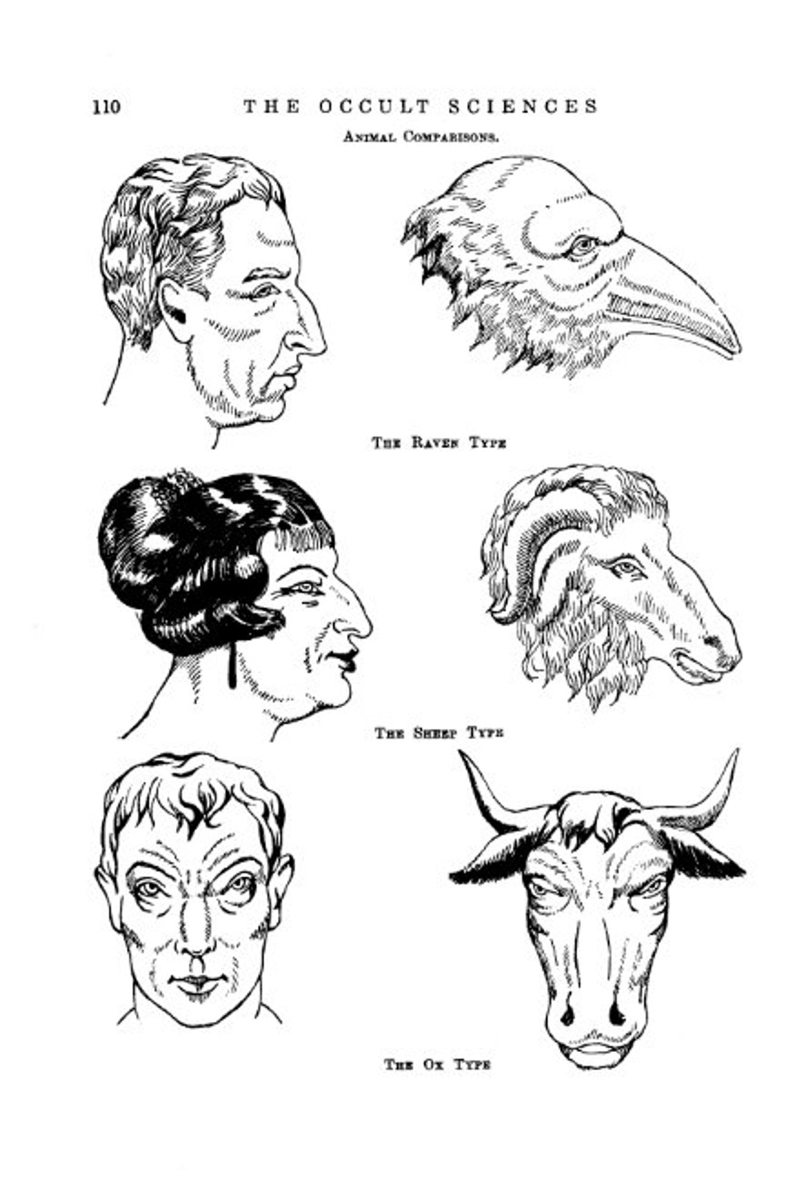 Encyclopedia of Occult Sciences From the Coven of Union - Etsy