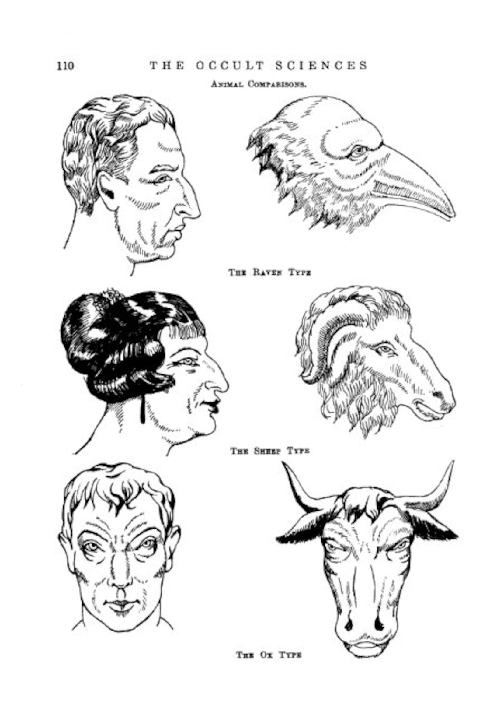 Encyclopedia of Occult Sciences From the Coven of Union - Etsy