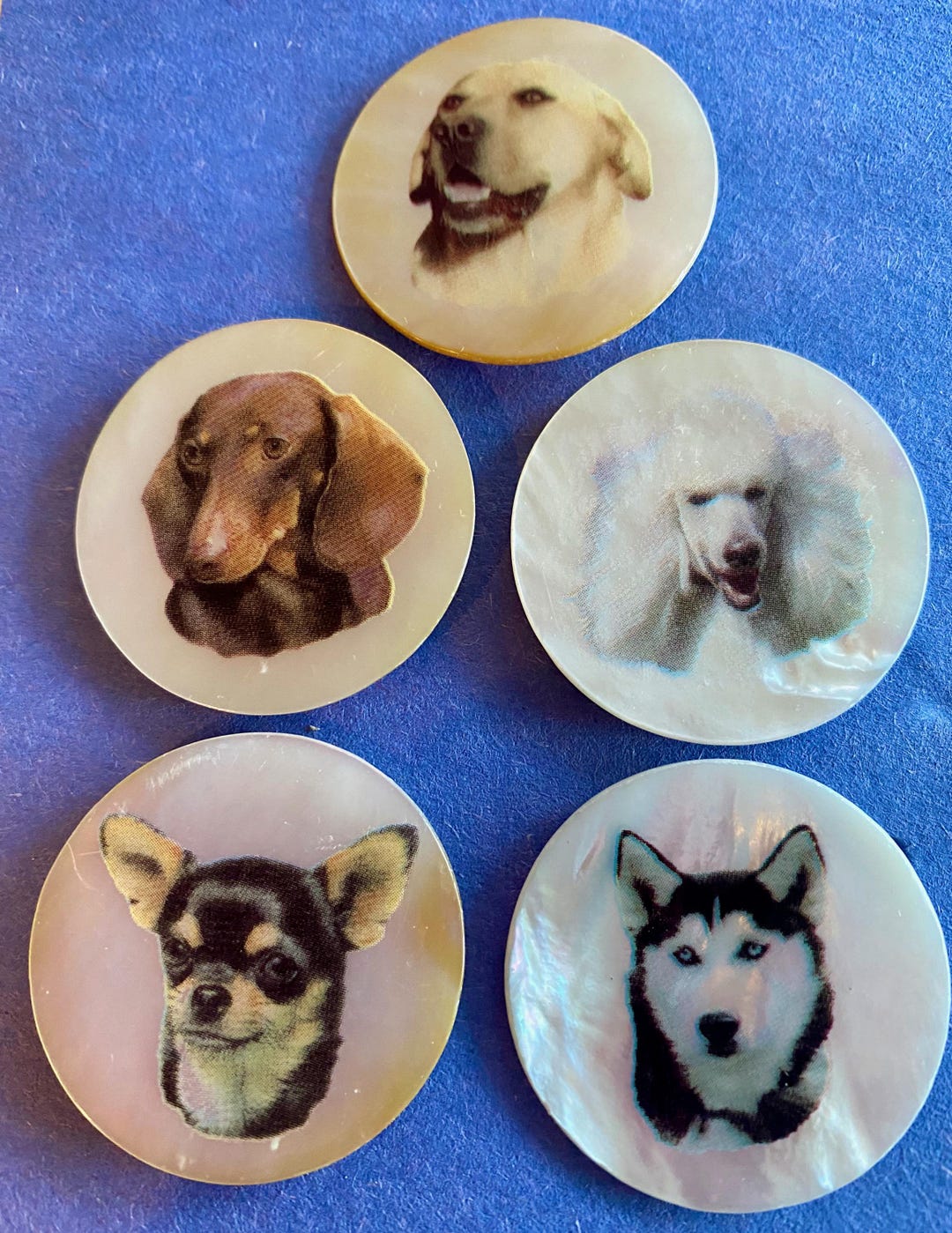 5 Large Vintage PEARL DOG BUTTONS - Etsy