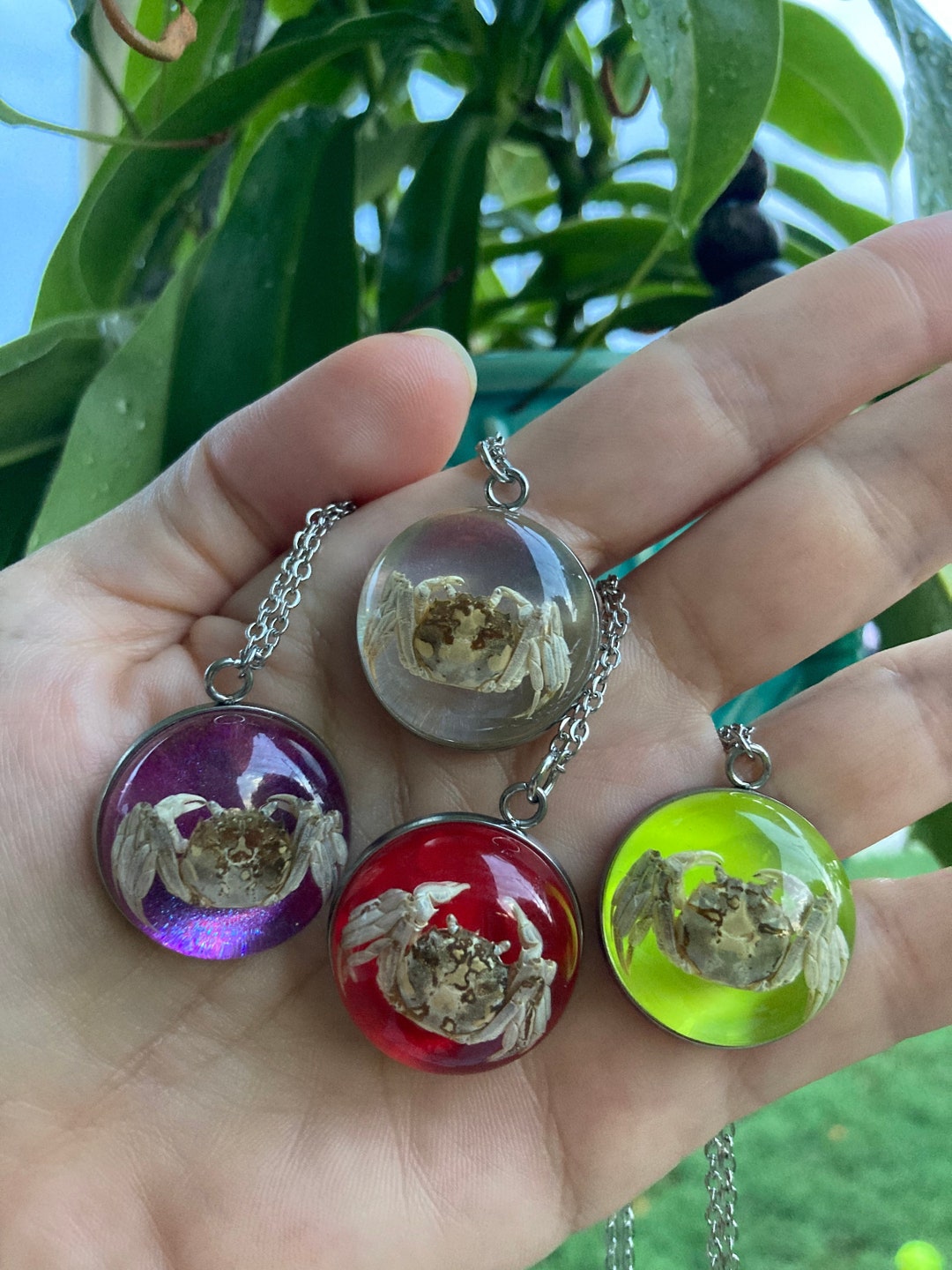 Real Crab Preserved in Resin Necklace Cancer Pendant River Ghost River ...