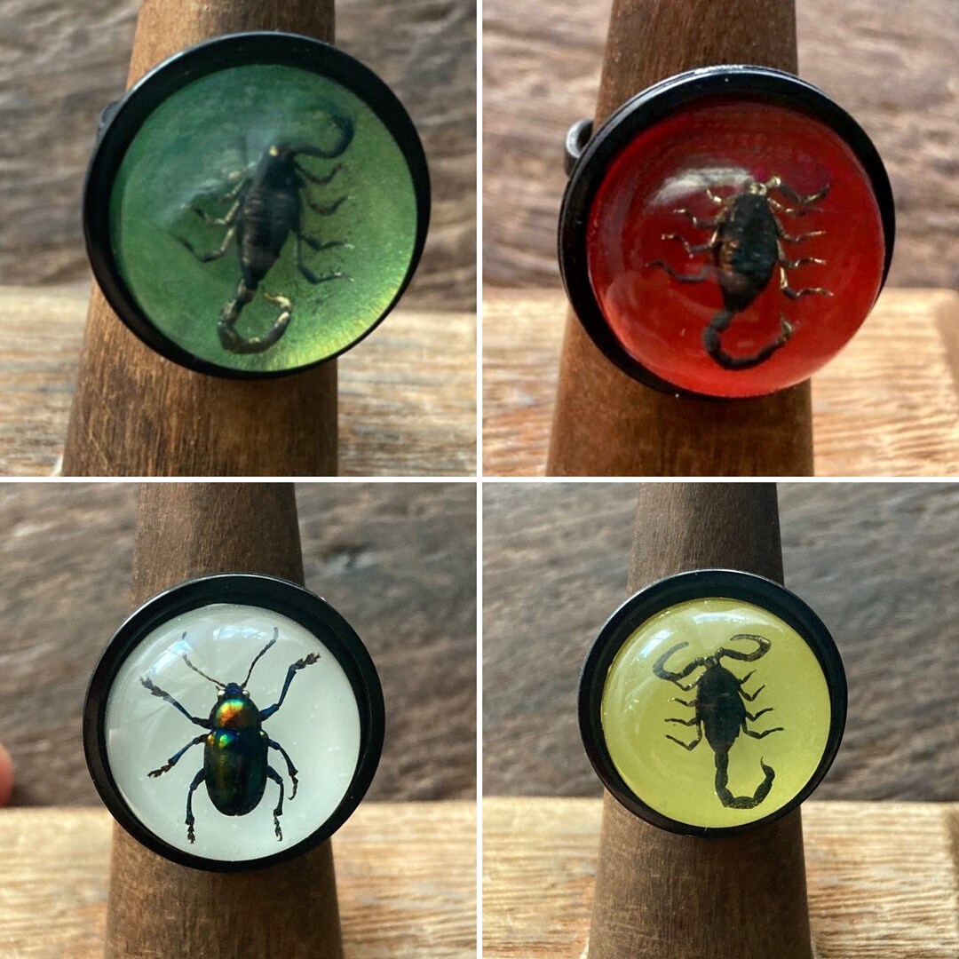 Real Scorpion in Resin Ring Black Stainless Steel Adjustable Scorpio ...